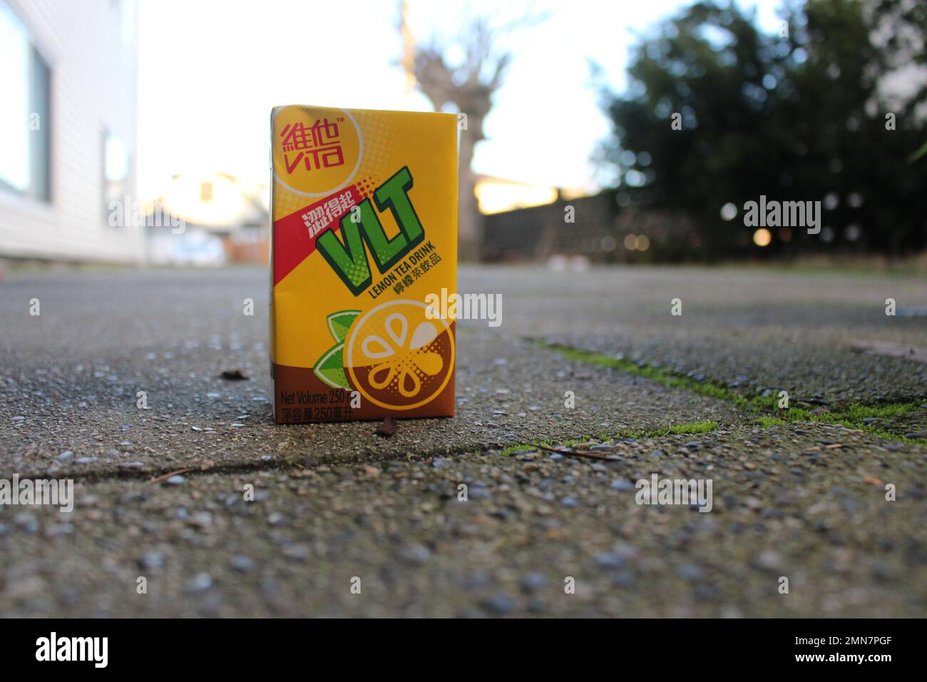 January 29 2023- VLT Lemon Tea Drink in Vancouver, British Columbia ...