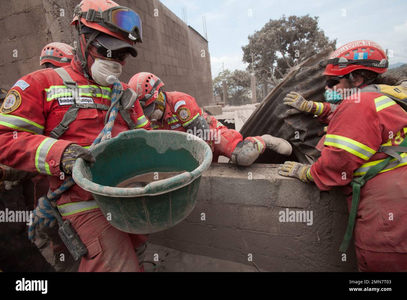 Firefighters rescue three turtles from an abandoned house in the ...