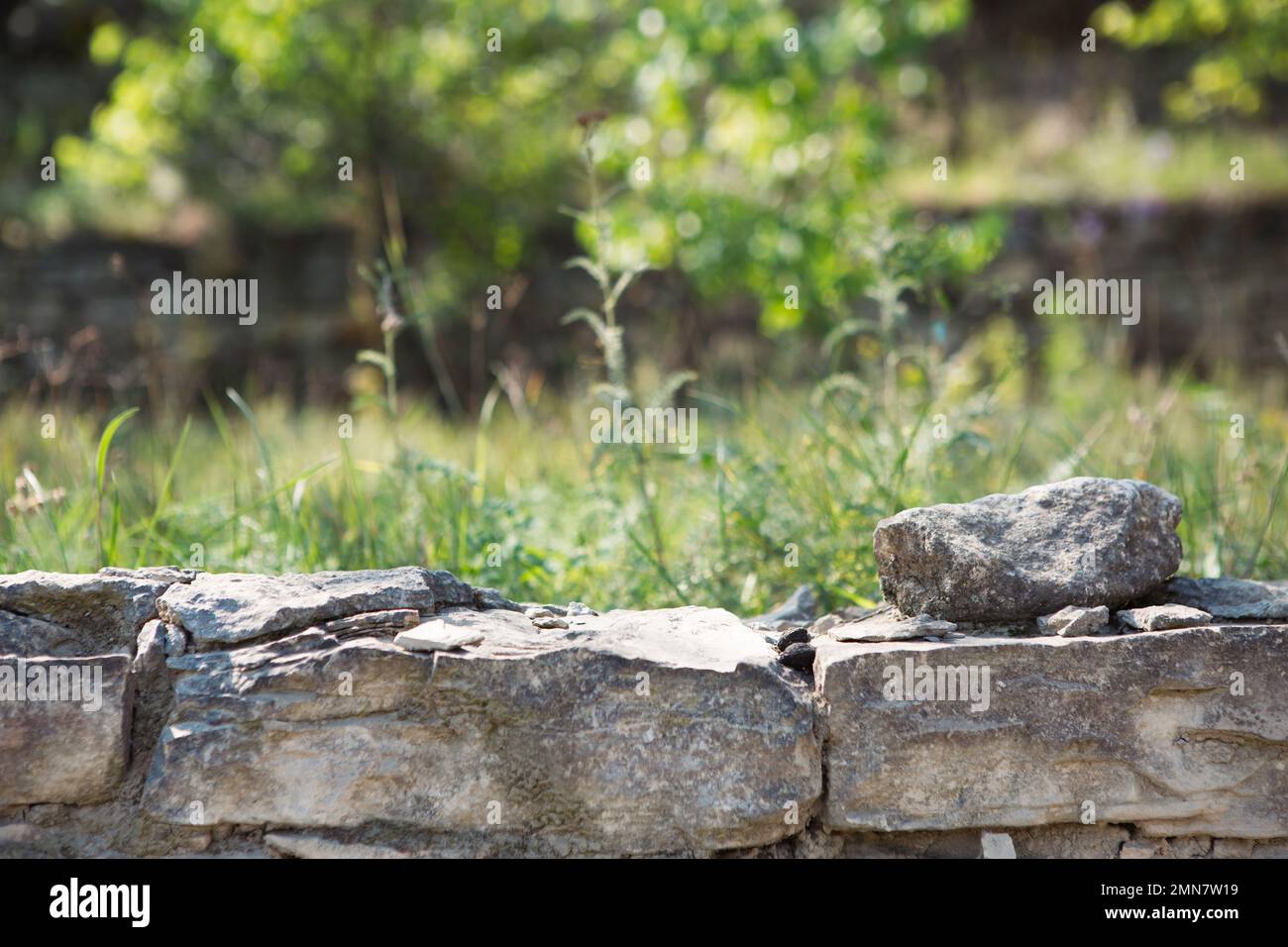 Masonry walls of natural sand color with green natural vegetation in ...