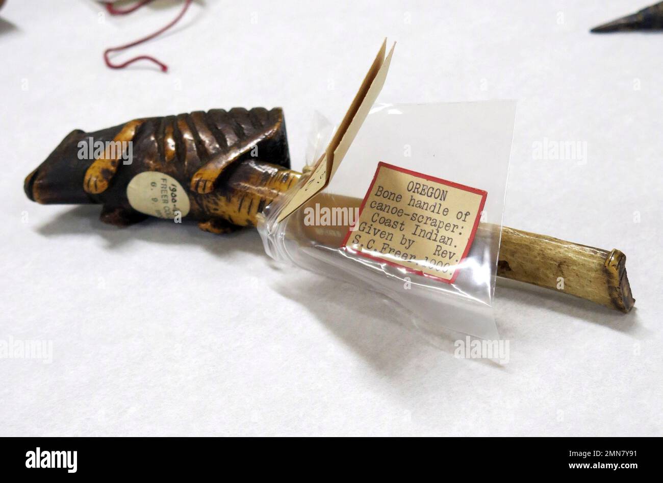 In this May 23, 2018, photo, the bone handle of a canoe carving adze ...