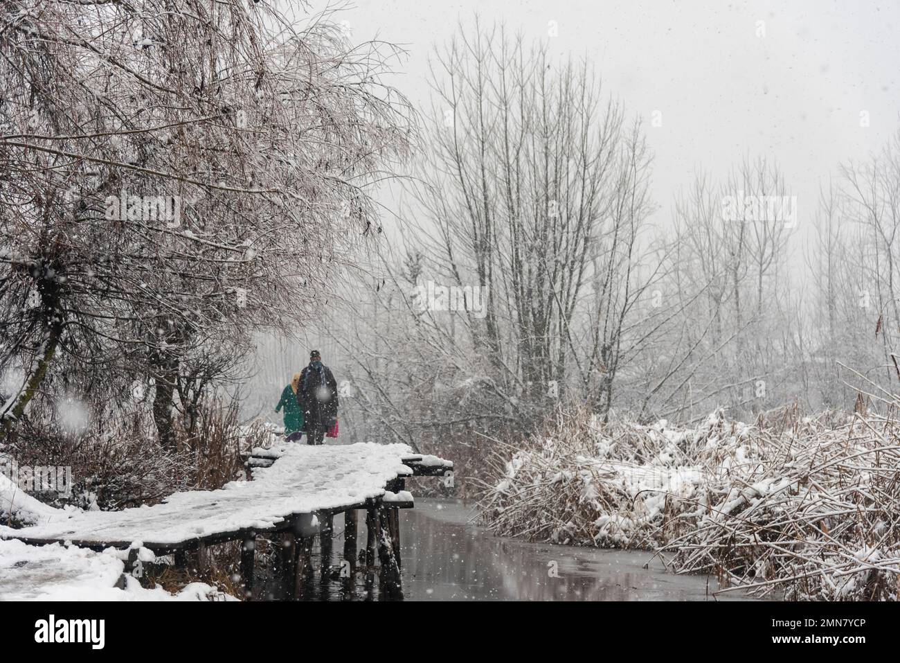 Srinagar, India. 30th Jan, 2023. People walk on snow covered bridge ...