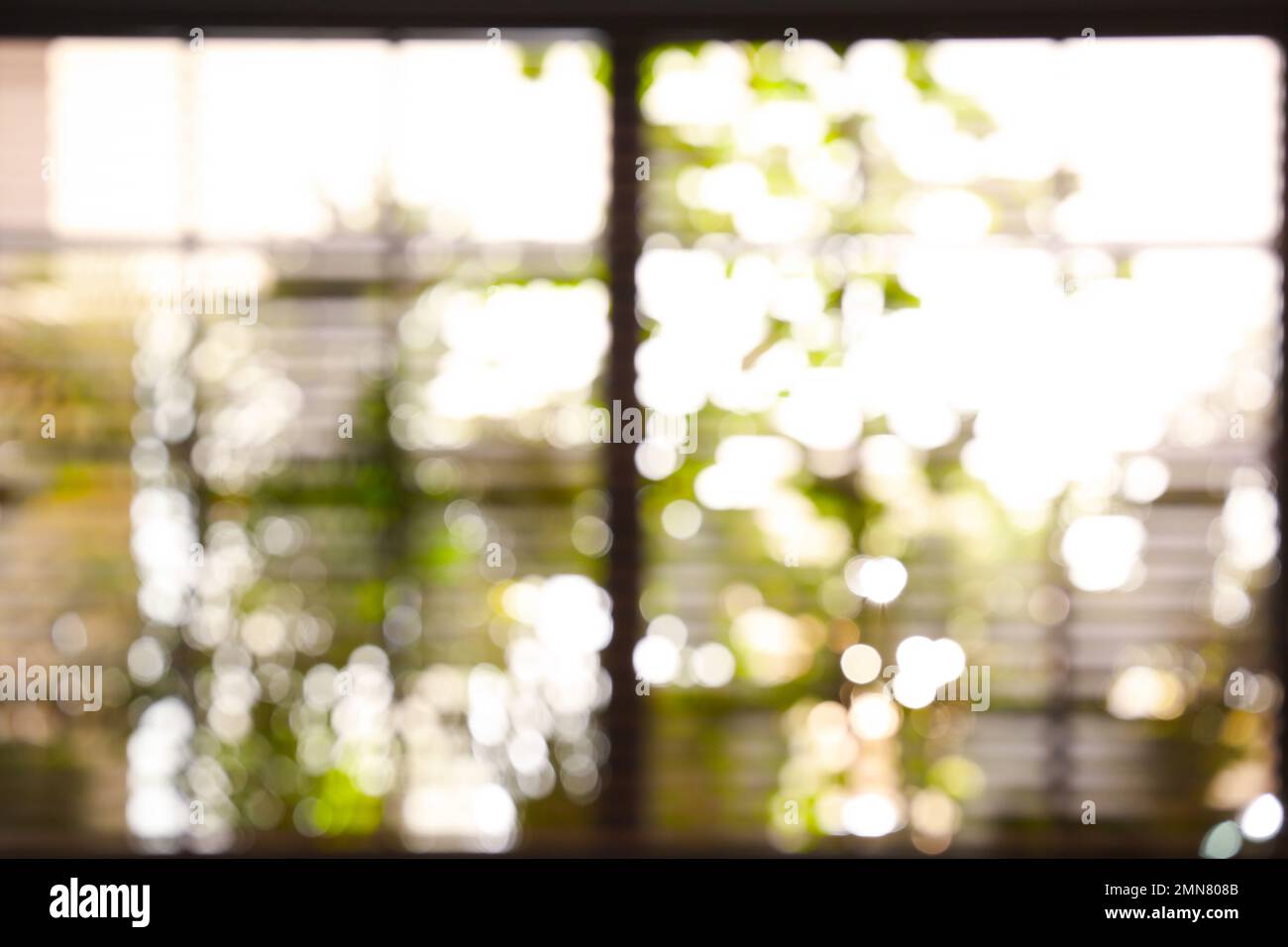 Blurred view through window on garden in morning Stock Photo - Alamy