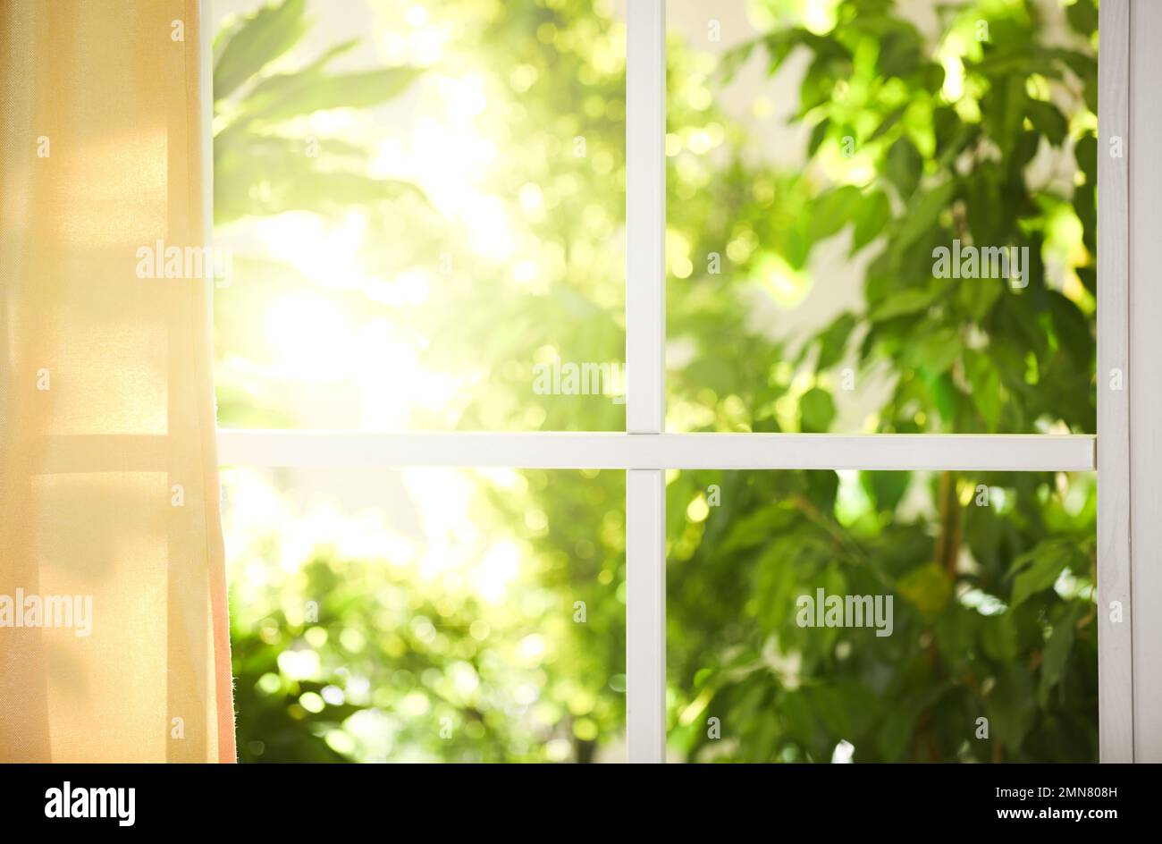 Beautiful view through window on garden in morning Stock Photo - Alamy