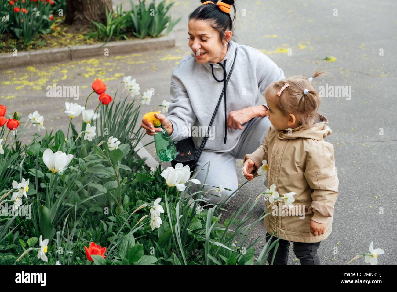 Spring Gardening activities for toddler kids. Senior woman grandmother ...