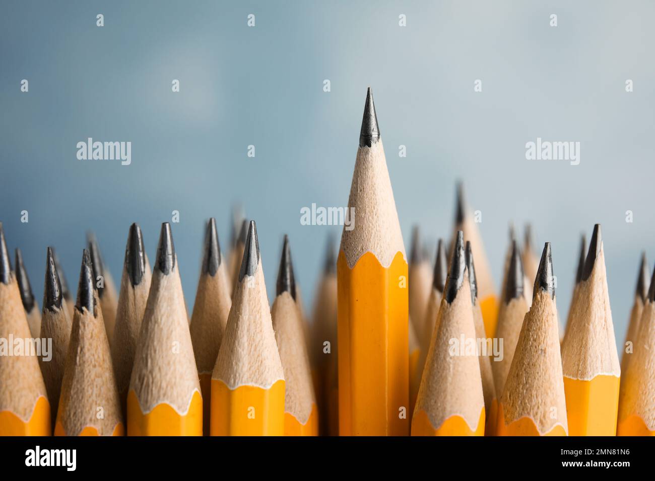 Many graphite pencils and one standing out on blue background, closeup ...
