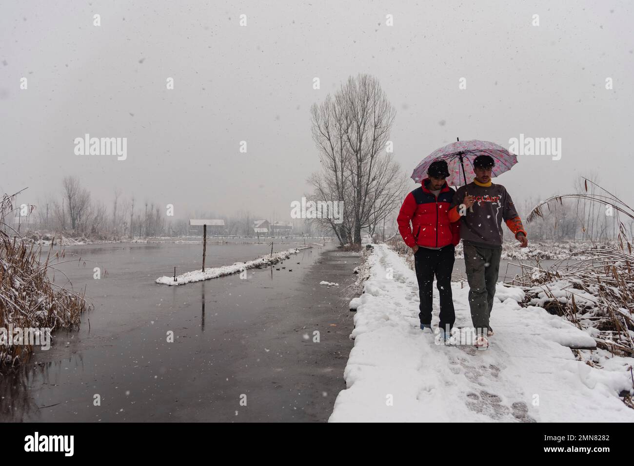 Srinagar, India. 30th Jan, 2023. Men with an umbrella walk along a snow ...