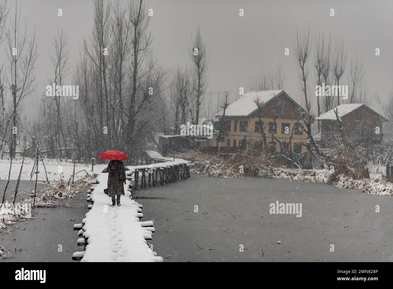 Srinagar, India. 30th Jan, 2023. A man with an umbrella walks along a ...