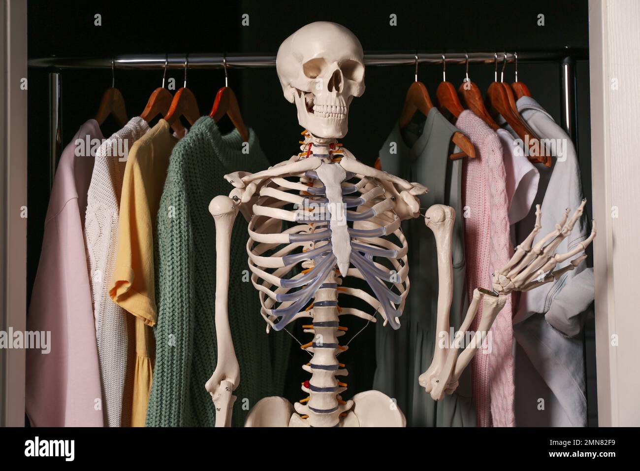 Artificial human skeleton model among clothes in wardrobe Stock Photo ...