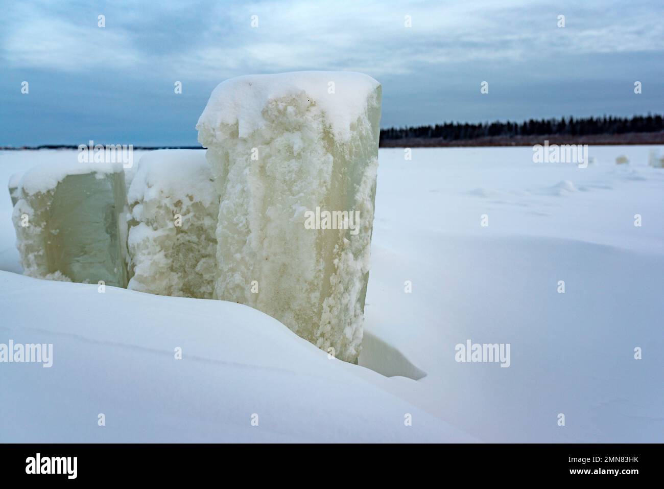 Sliced ice for defrosting and eating covered with snow on the Vilyui ...