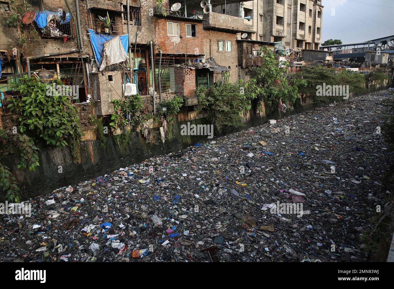 Garbage chokes a polluted canal in Mumbai, India, Monday, June 4, 2018 ...