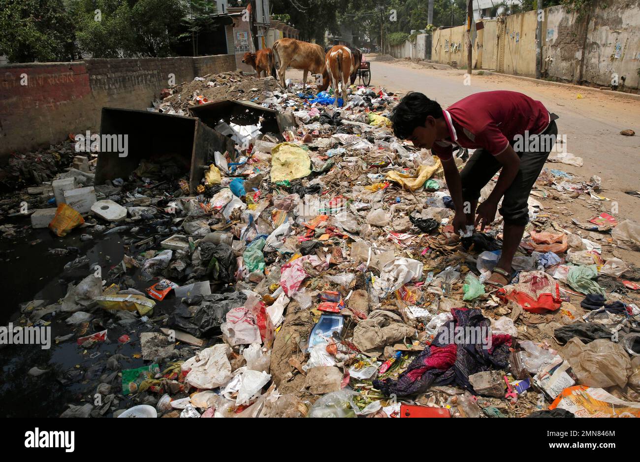 An Indian rag picker looks for reusable material on a mound of garbage ...