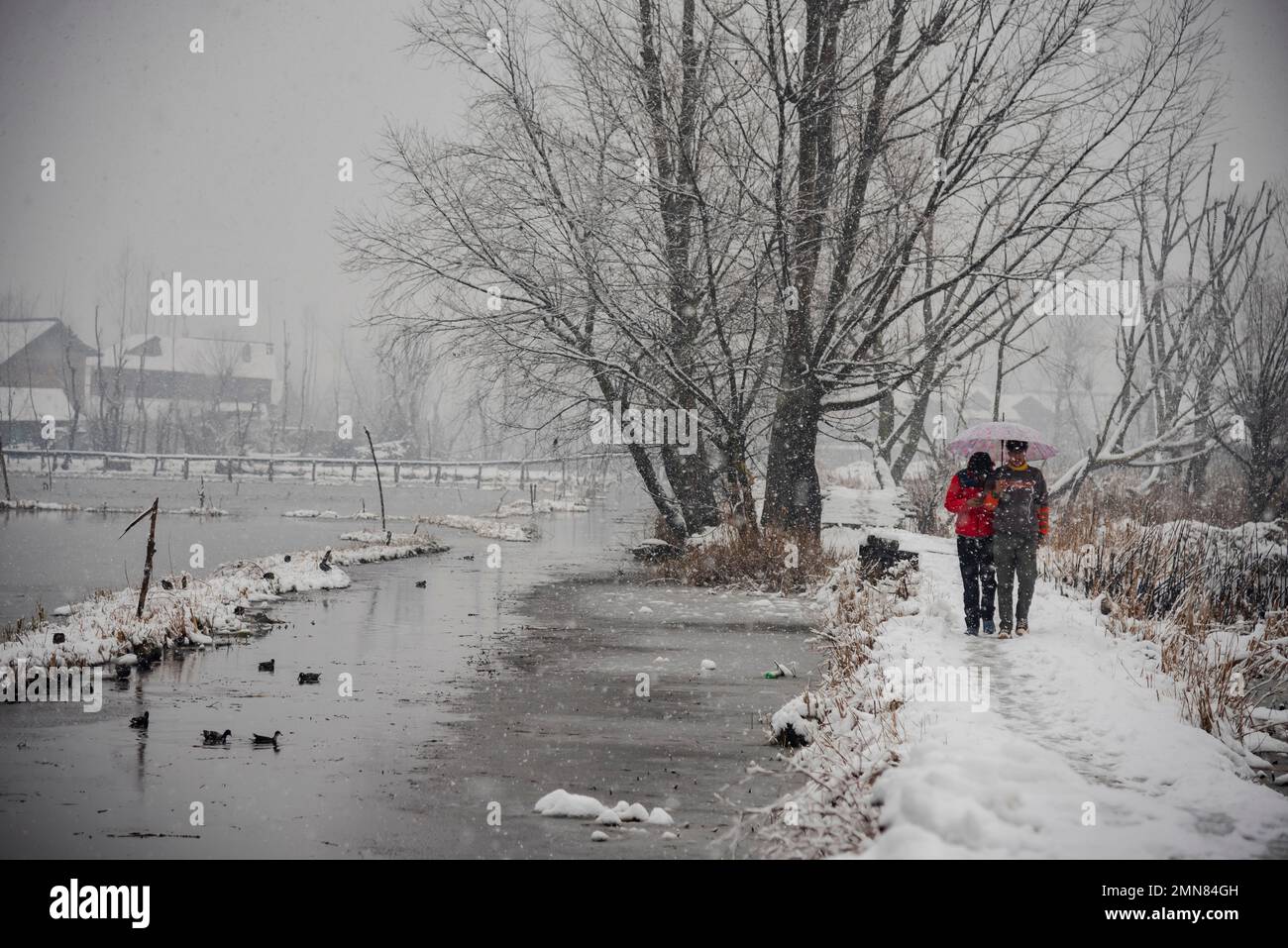 Srinagar, India. 30th Jan, 2023. Men with an umbrella walk along a snow ...