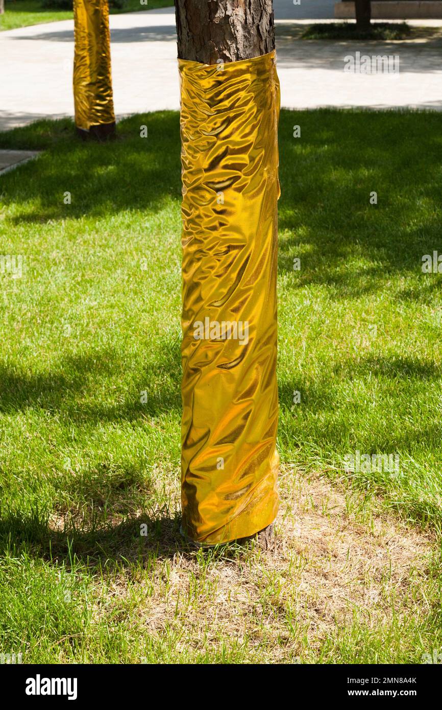 Tree with a decorative fancy golden protective sleeve / wrap / wrapping ...