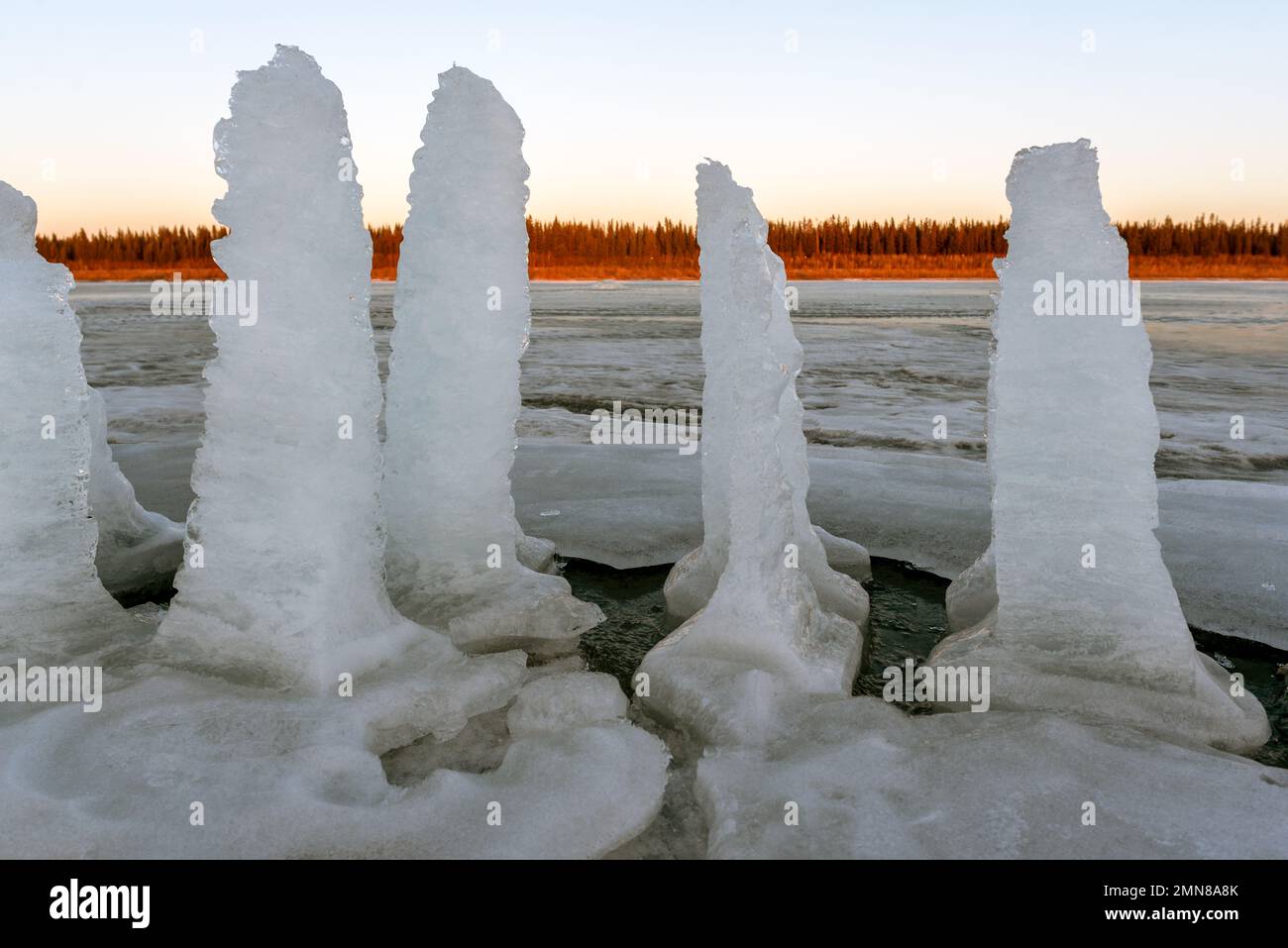 The remains of pillars of white ice cut to collect water in winter melt ...