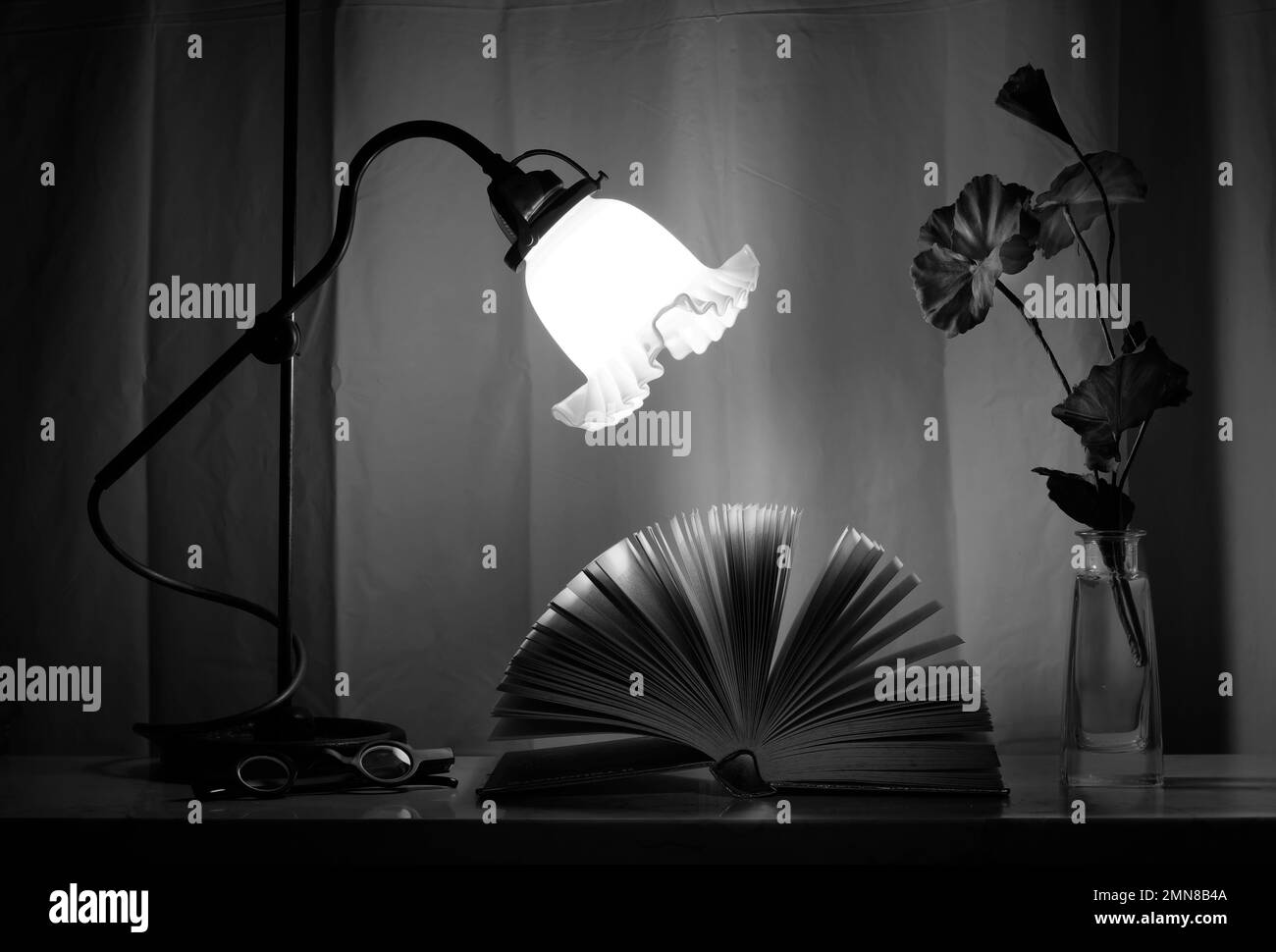 Open Book and a vintage lamp, reading,education,learning concept, black ...