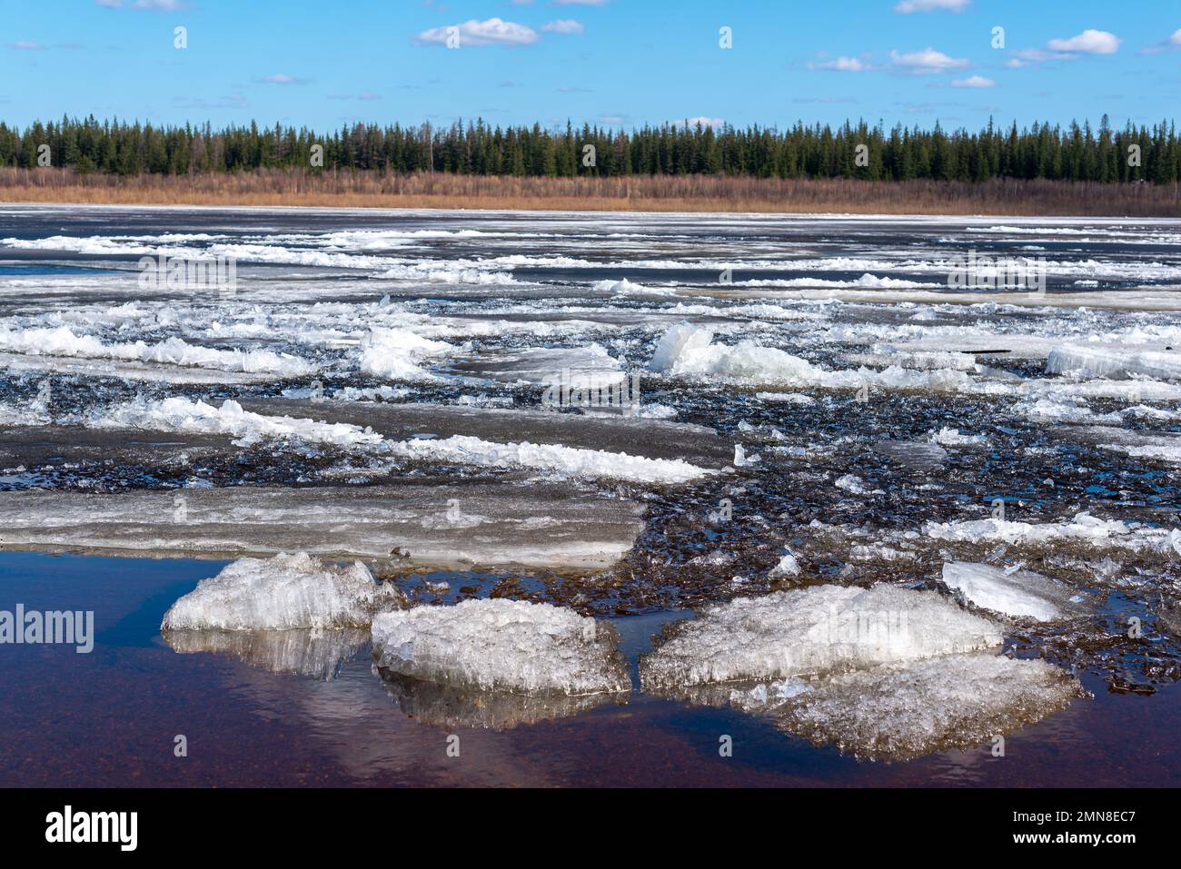 Ice drift on the spring river in Yakutia Vilyui against the background ...