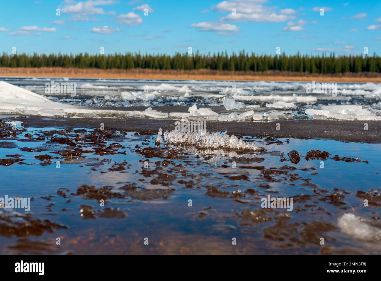 The last ice floes are melting without a current. Ice drift on the ...