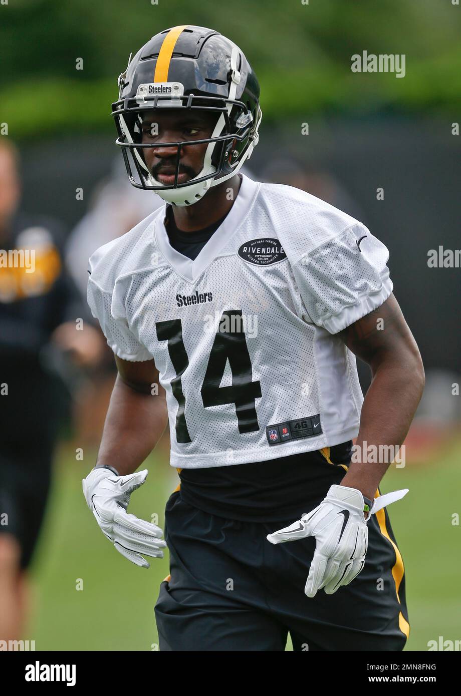 Pittsburgh Steelers wide receiver Tevin Jones (14) during NFL football ...