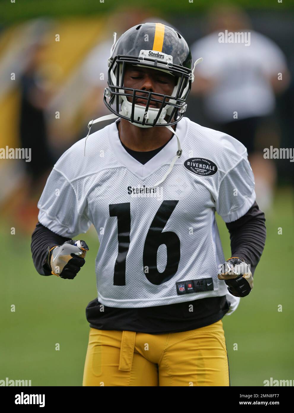 Pittsburgh Steelers wide receiver Marcus Tucker (16) during NFL ...