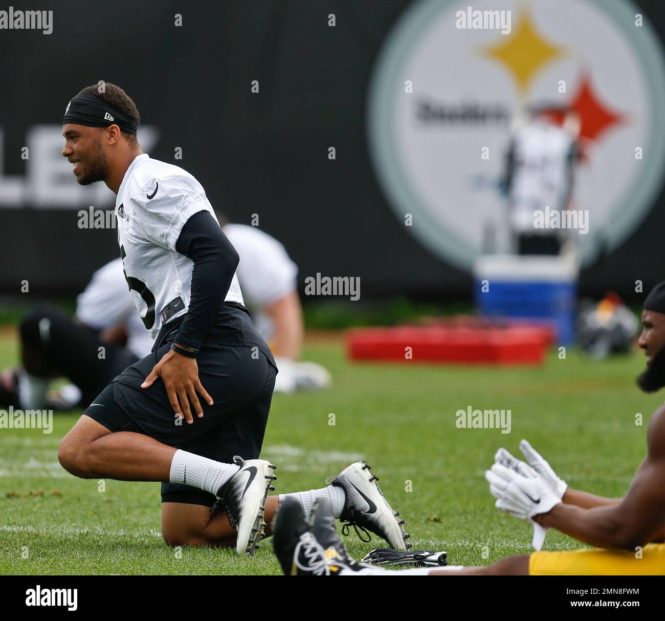 Pittsburgh Steelers wide receiver Trey Griffey during NFL football ...