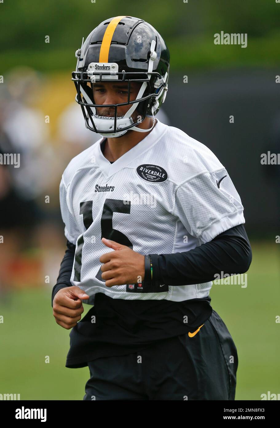 Pittsburgh Steelers wide receiver Trey Griffey during NFL football ...