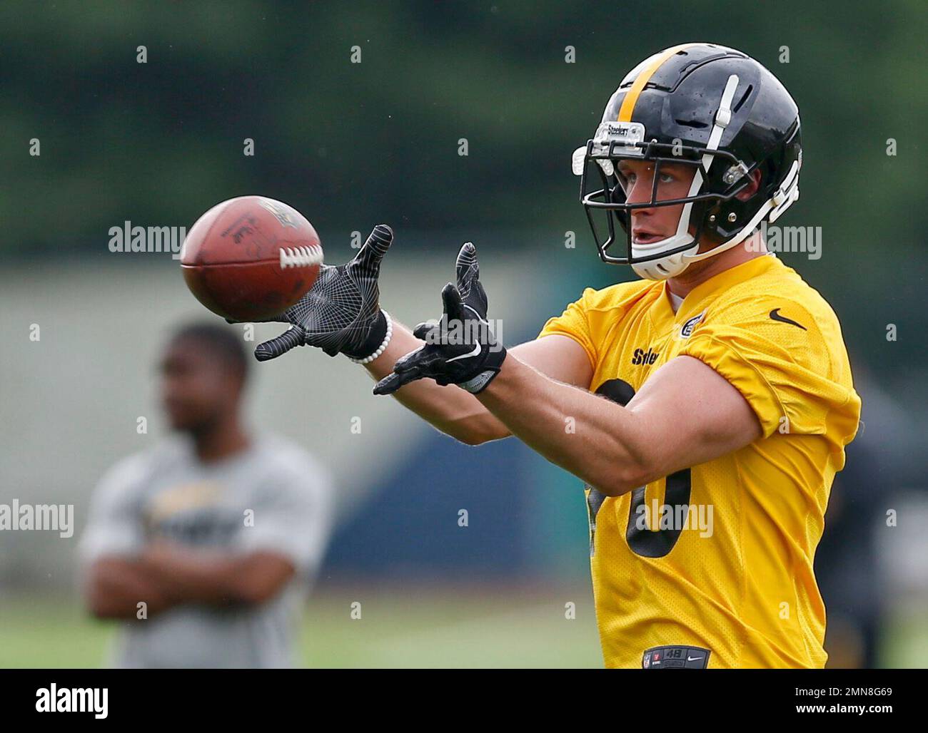Pittsburgh Steelers linebacker T.J. Watt (90) during NFL football ...