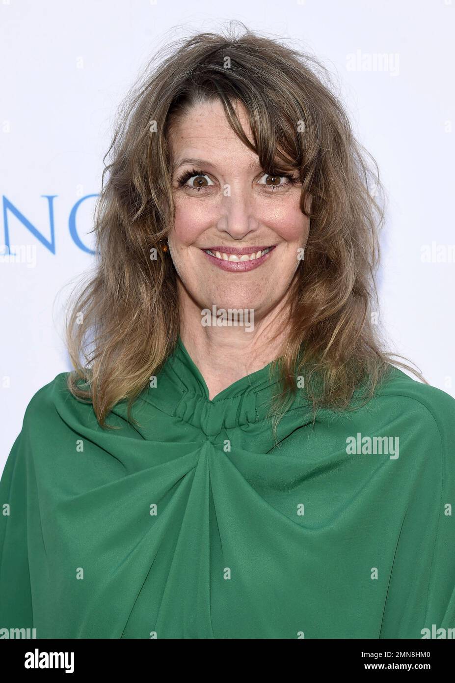 Heather Mathews attends the 11th Annual "Television Academy Honors ...