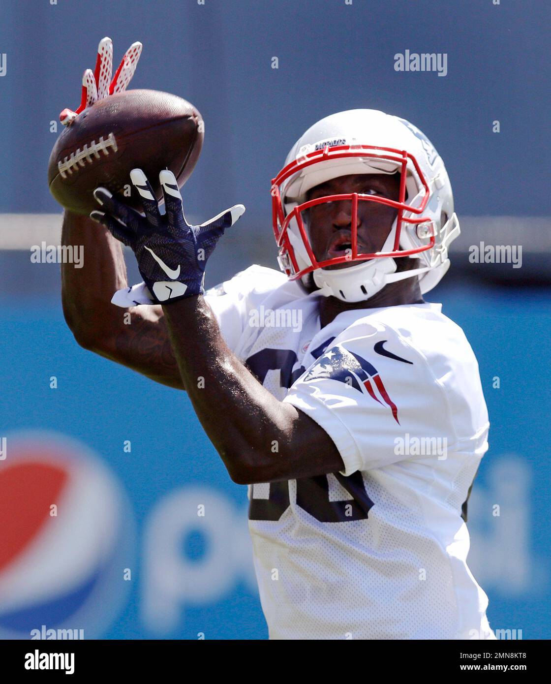 New England Patriots running back Ralph Webb catches a pass during ...