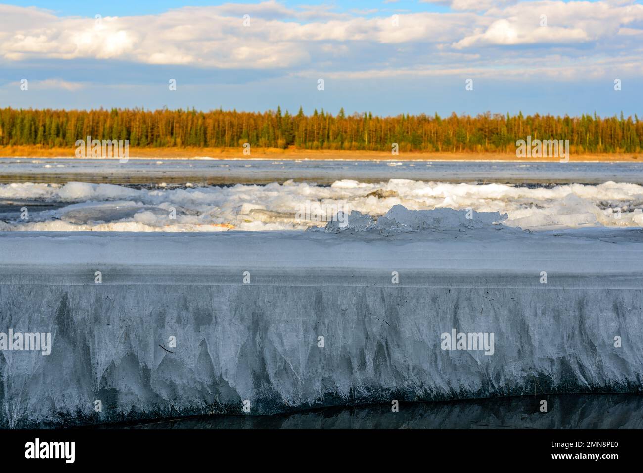 The last needle-shaped ice floes are melting in a strip near the shore ...