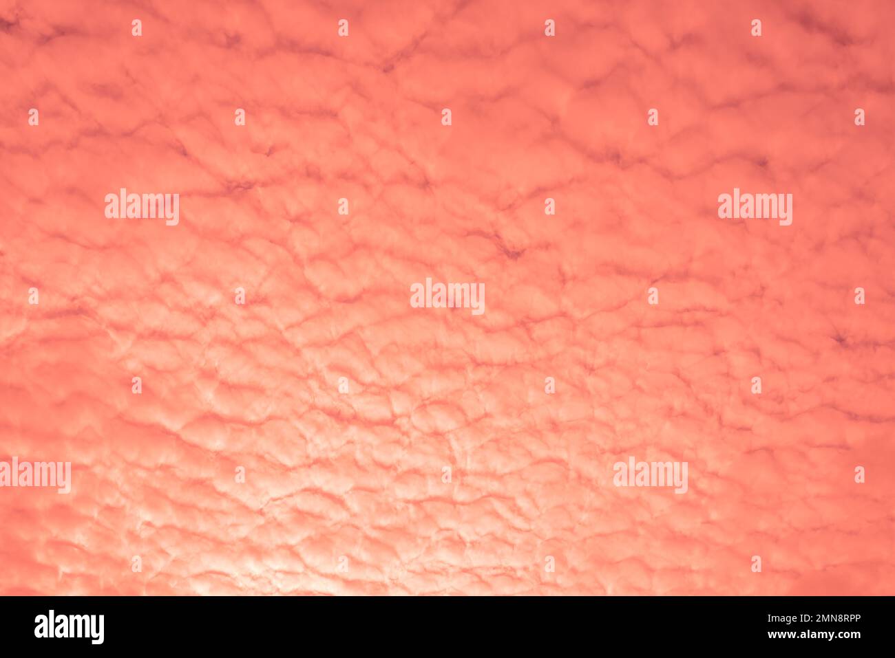 Abstract and pattern of cloud sky Calming coral, Orange, Trend color of ...