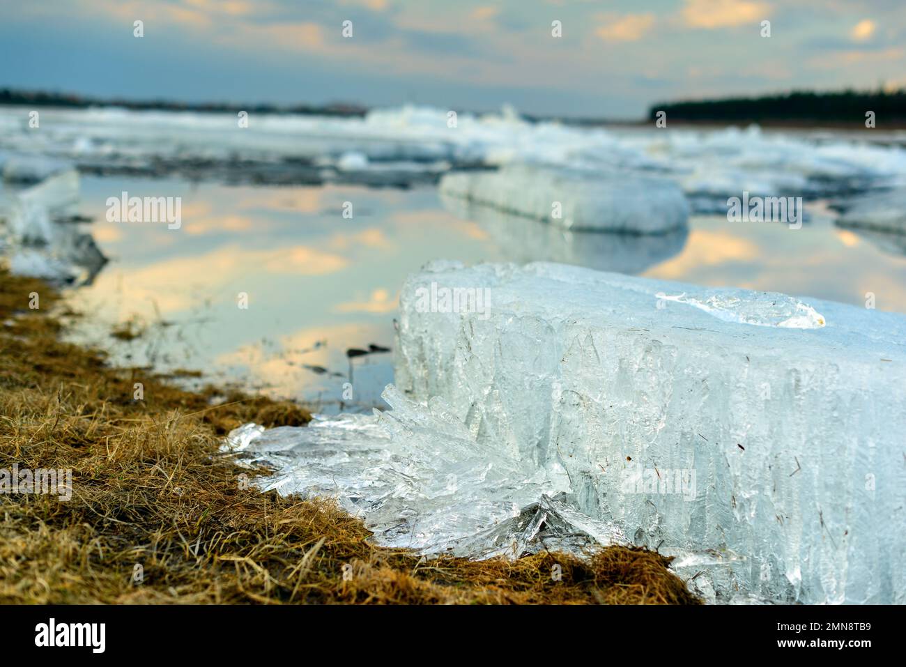 The last ice floes are melting near the shore against the backdrop of ...