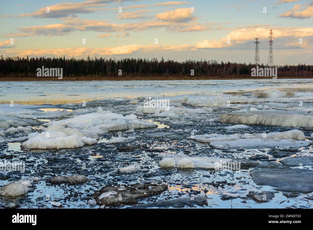 The last ice floes are melting near the coast of the taiga against the ...