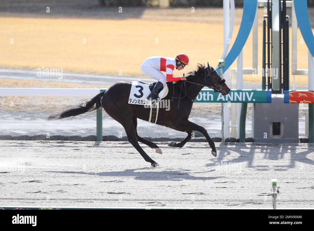 Aichi, Japan. 30th Jan, 2023. Danon Michael and Norihiro Yokoyama win ...