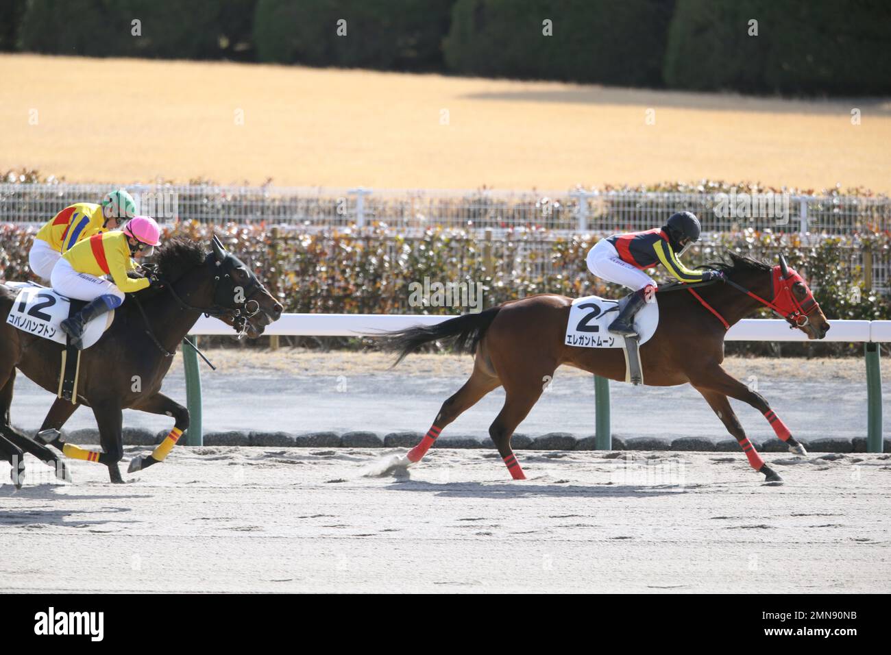 Aichi, Japan. 30th Jan, 2023. Elegant Moon and Seina Imamura win the ...