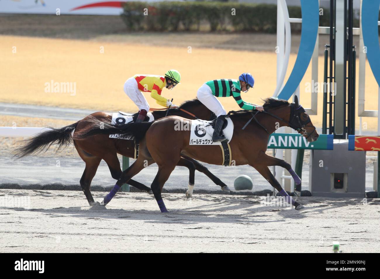 Aichi, Japan. 30th Jan, 2023. Bar du Vin and Mirai Iwata win the Chukyo ...