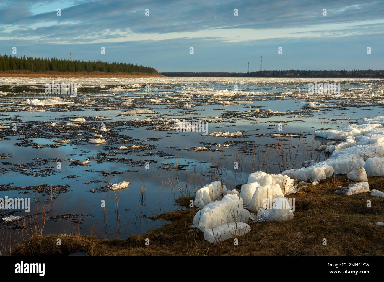 The last ice floes float and melt lying on the shore in the spring ...