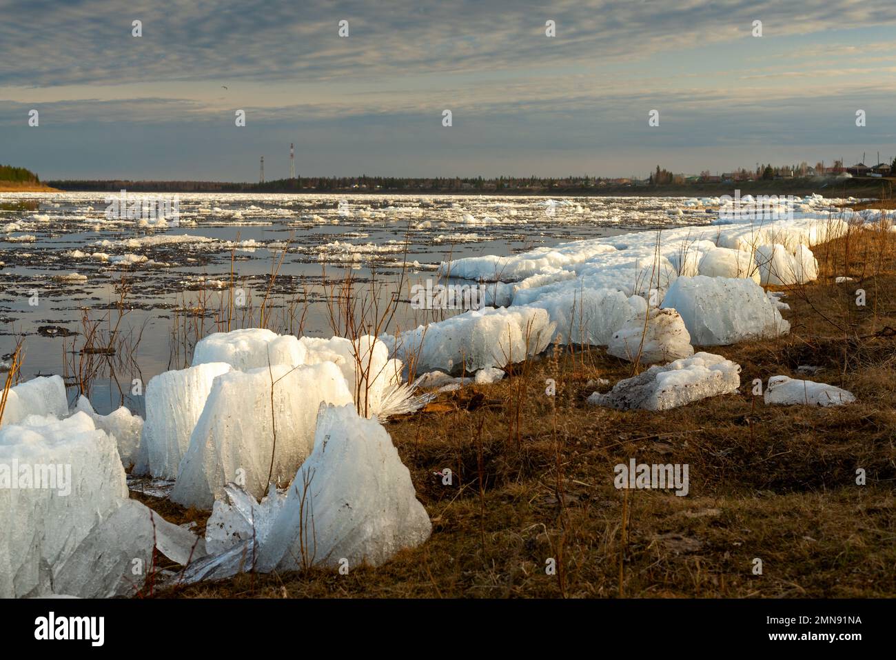 The last ice floes float and melt lying on the shore in the spring on ...
