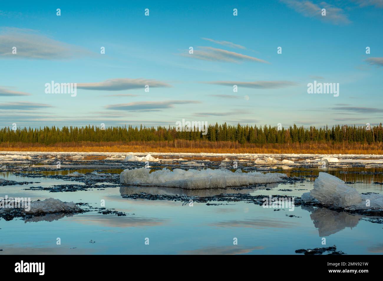 The last ice floes float and melt lying on the shore in the spring on ...