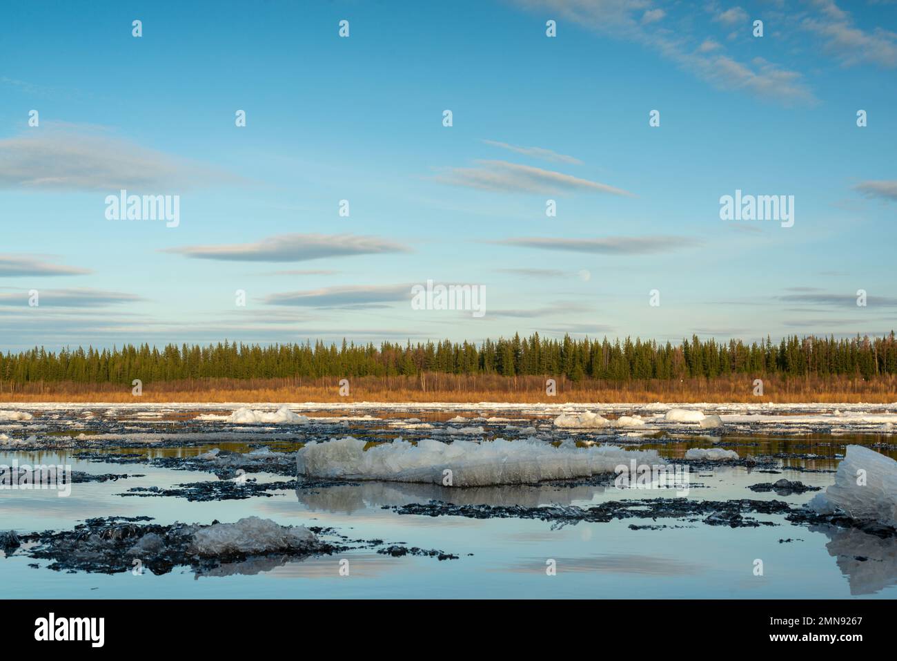 The last ice floes float and melt lying on the shore in the spring on ...