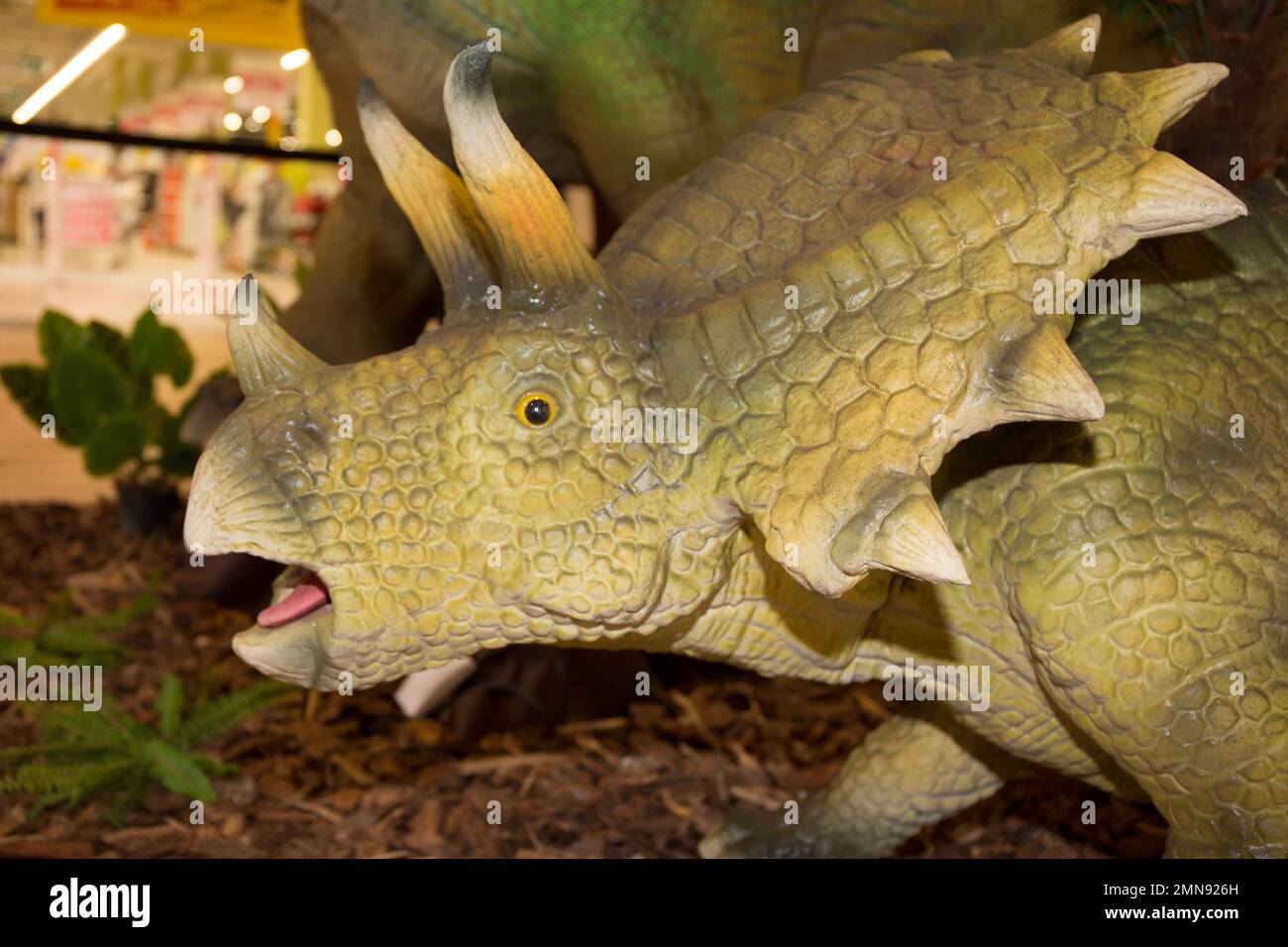 Dinosaurs Triceratops Face