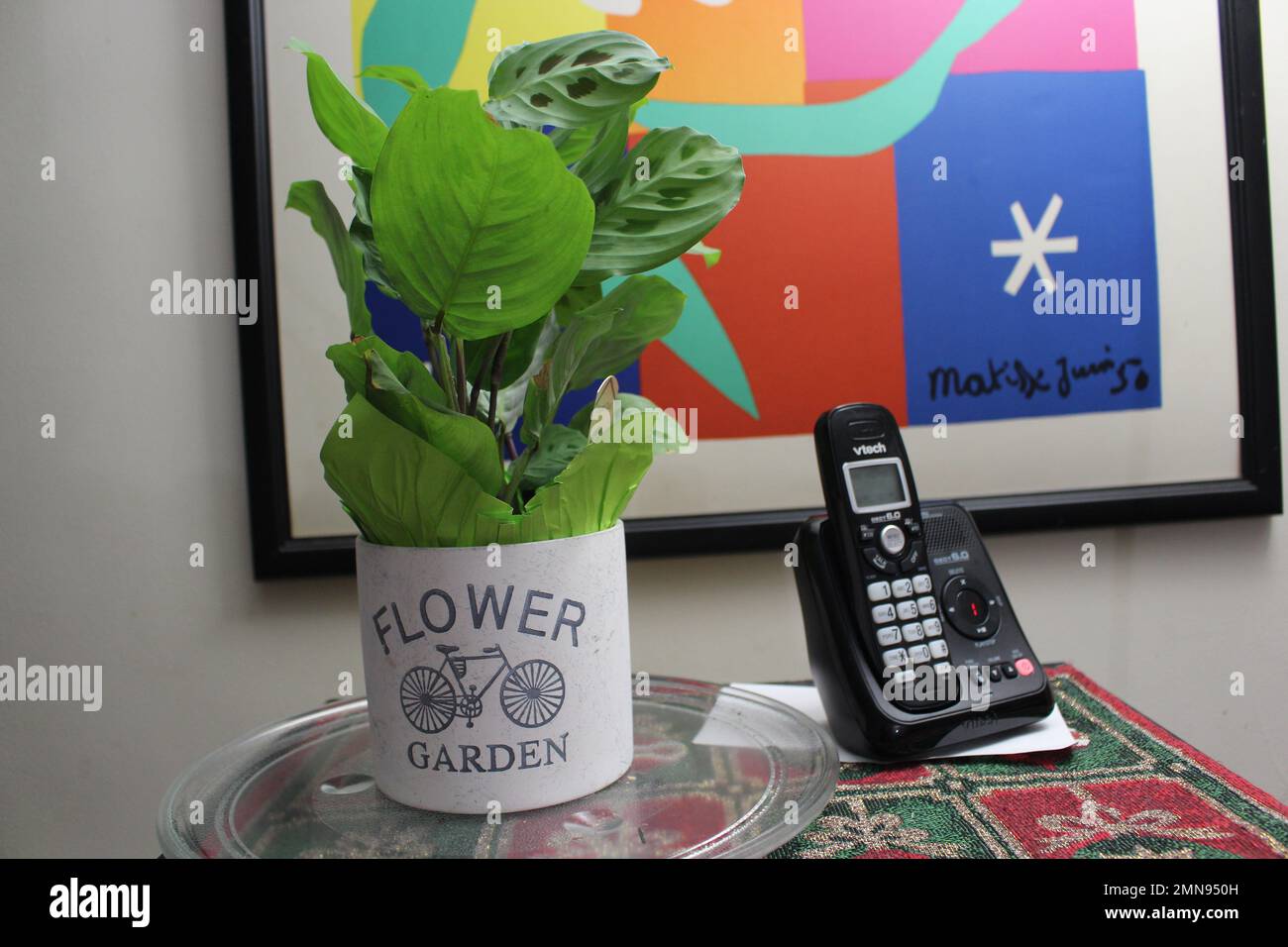 Home wireless telephone with indoor plant in Vancouver, British ...