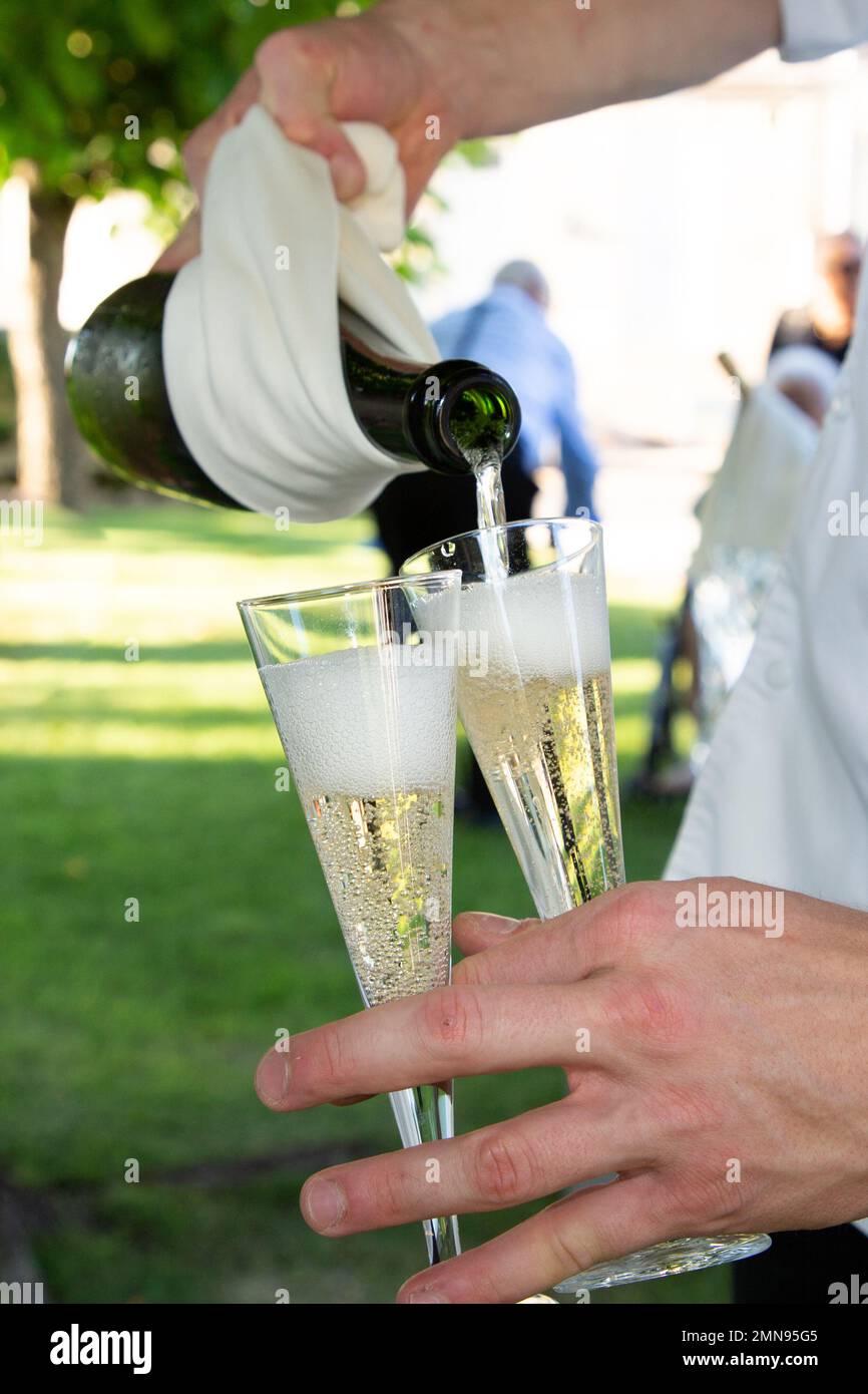 Pouring champagne into glass at outdoor party in close up Stock Photo ...