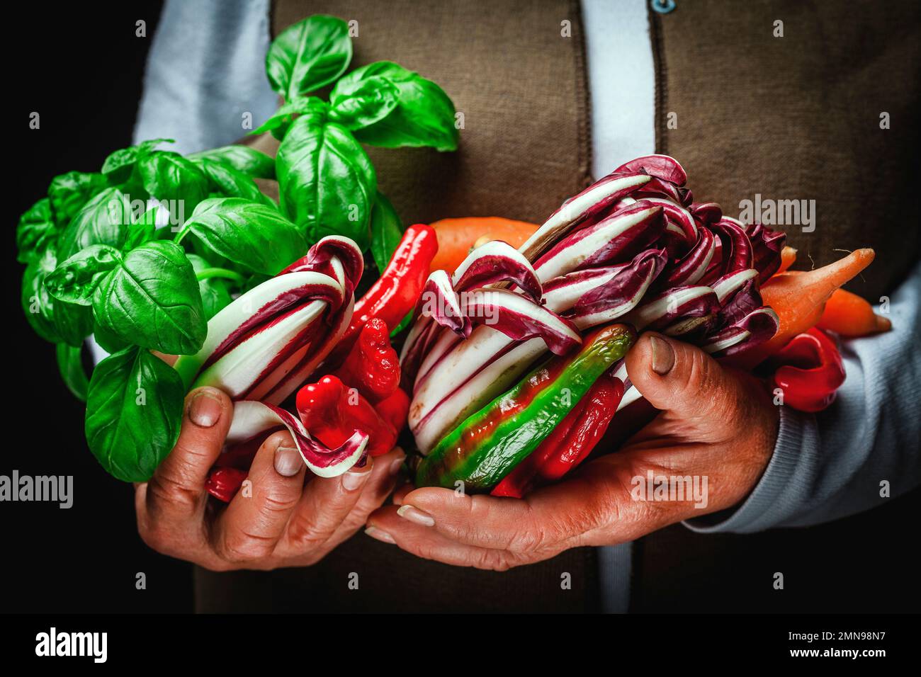 Vegetables and fresh fruit, grown and harvested in the countryside in a ...