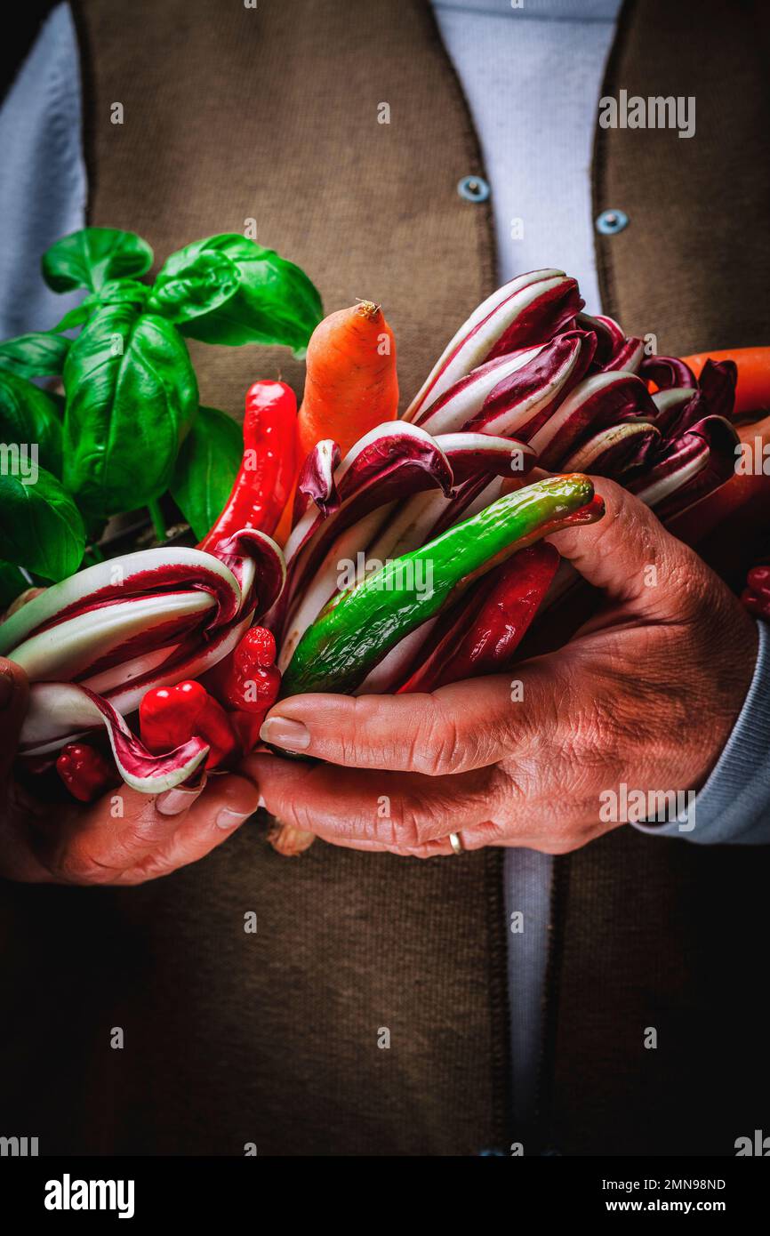 Vegetables and fresh fruit, grown and harvested in the countryside in a ...