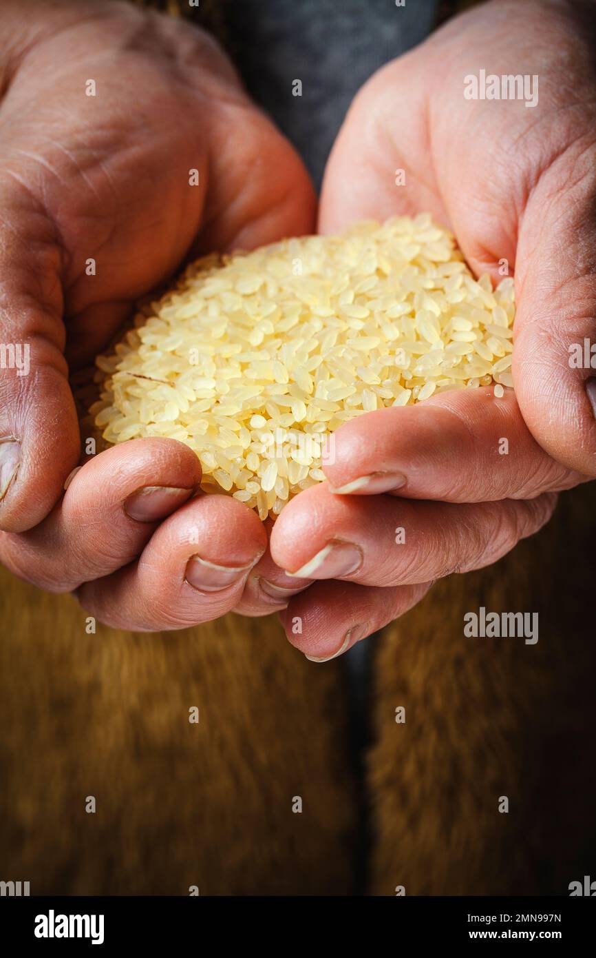 Indian old woman cooking food hi-res stock photography and images - Alamy