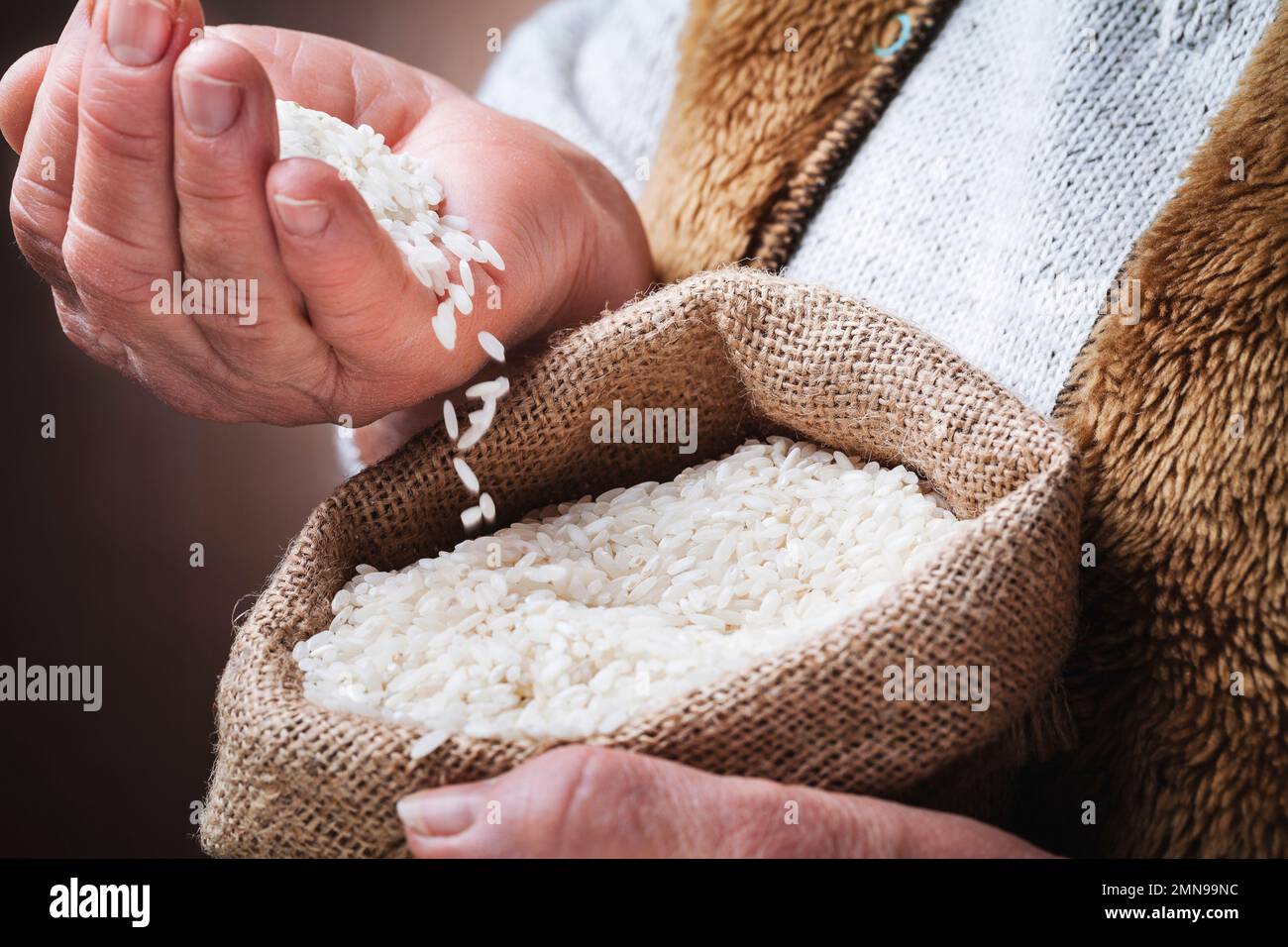 White rice, typical risotto rice, in the old hands in burlap sack Stock ...