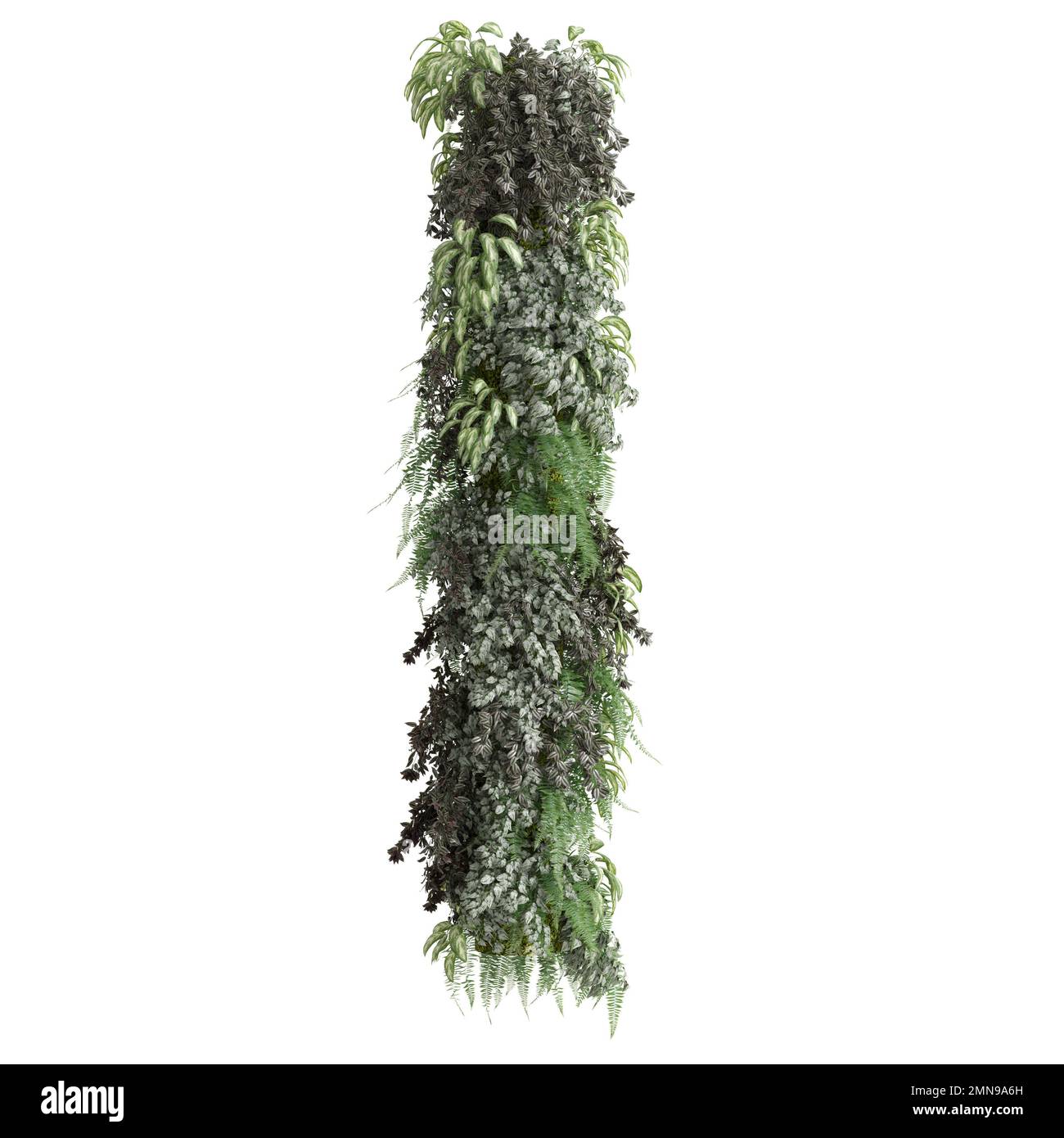 3d illustration of wall tree isolated on white background Stock Photo ...