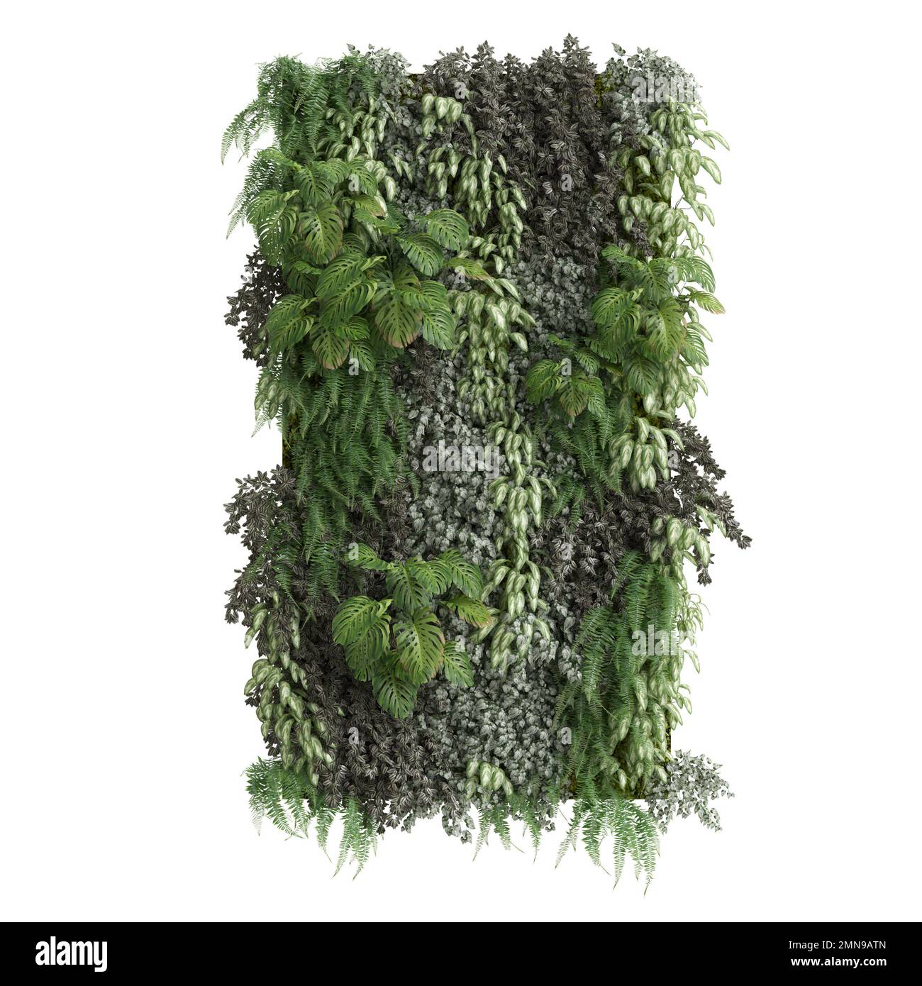 3d illustration of wall tree isolated on white background Stock Photo ...