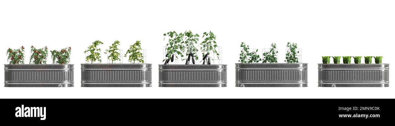 3d illustration of set vegetables metal potted isolated on white ...