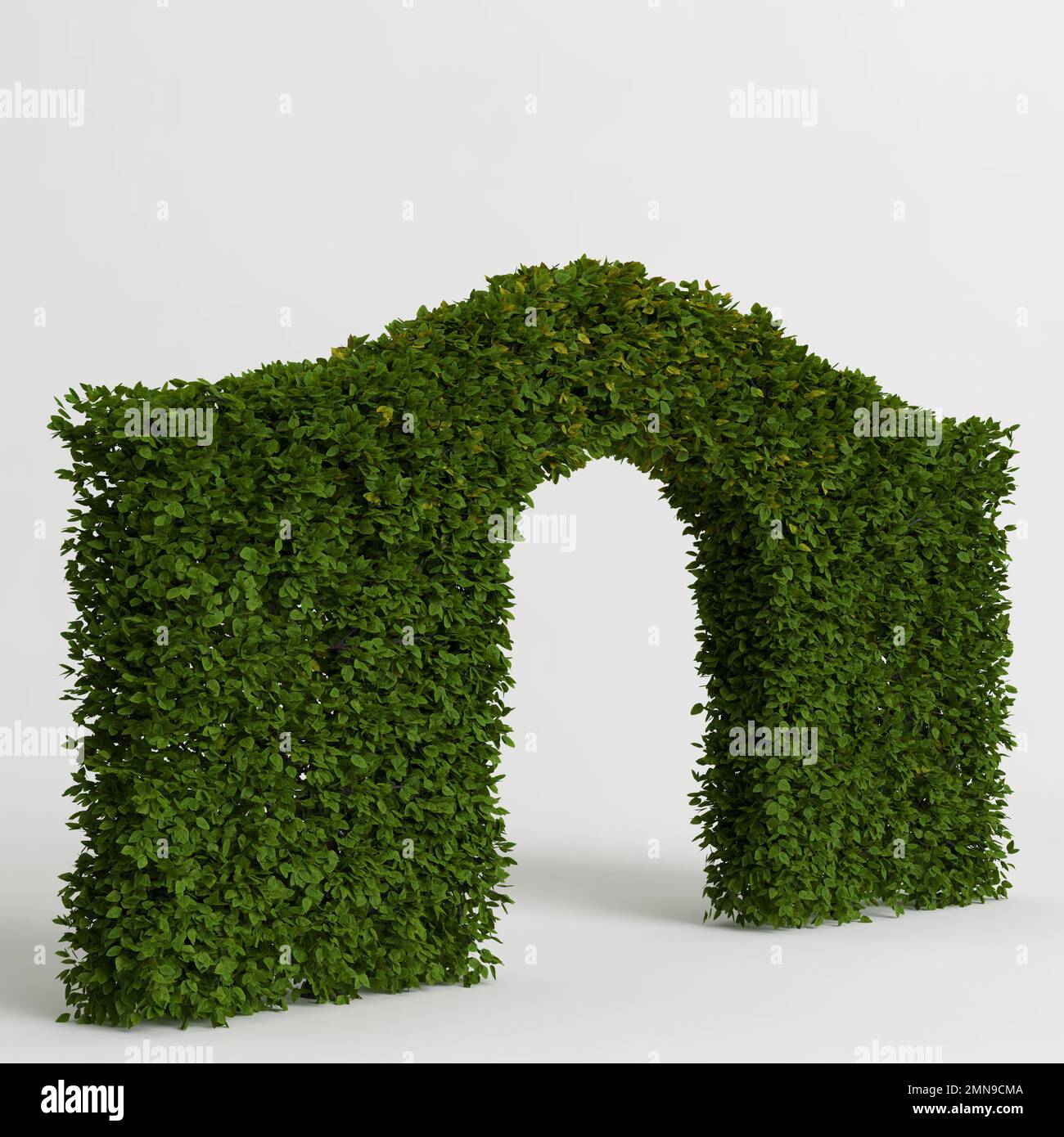 3d illustration of gate tree isolated on white background Stock Photo ...